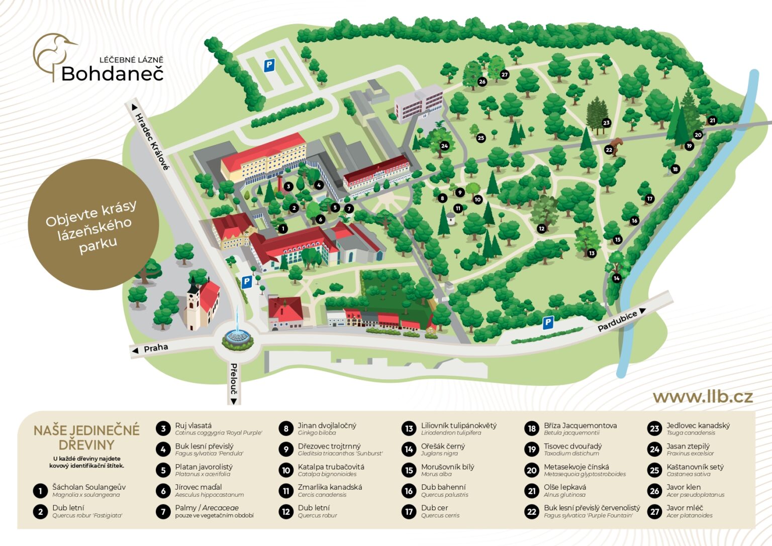 MAPA LÁZEŇSKÉHO PARKU - Léčebné lázně Bohdaneč